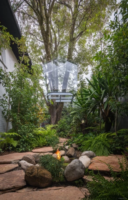 Glass treehouse peels back the curtain on privacy