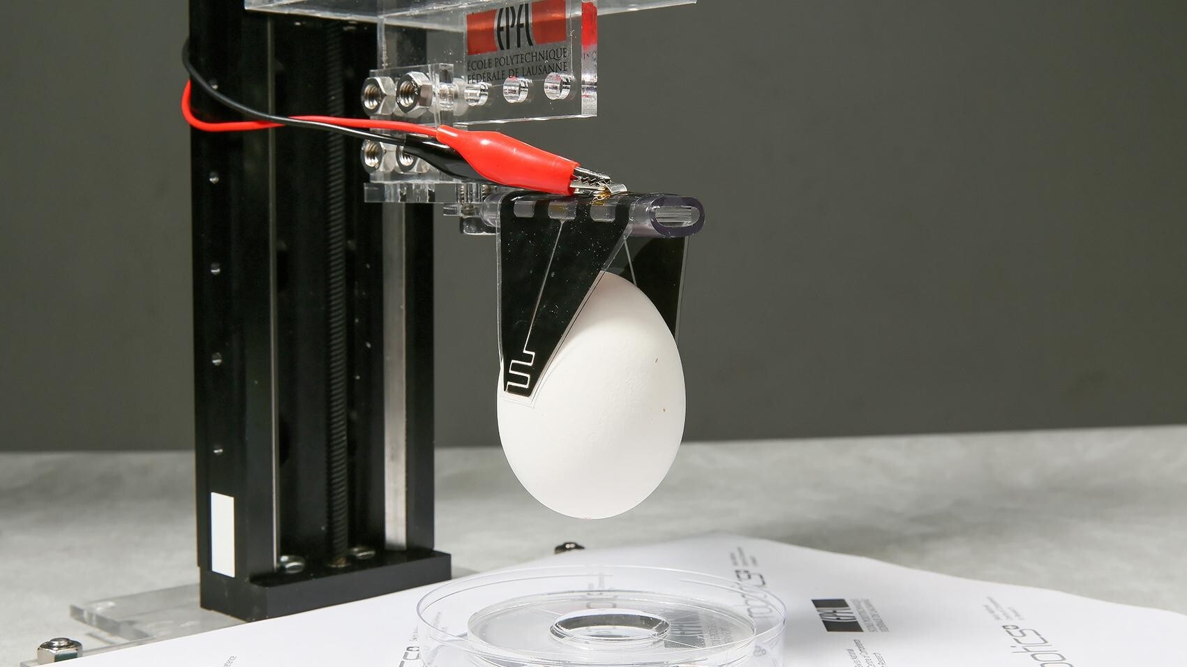 Soft robotic gripper gets a grasp on fragile objects using electroadhesion