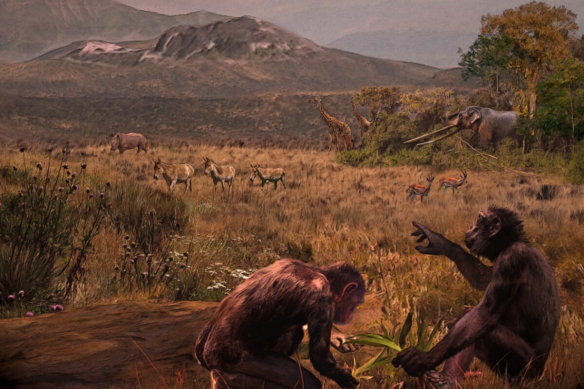 first primates split into