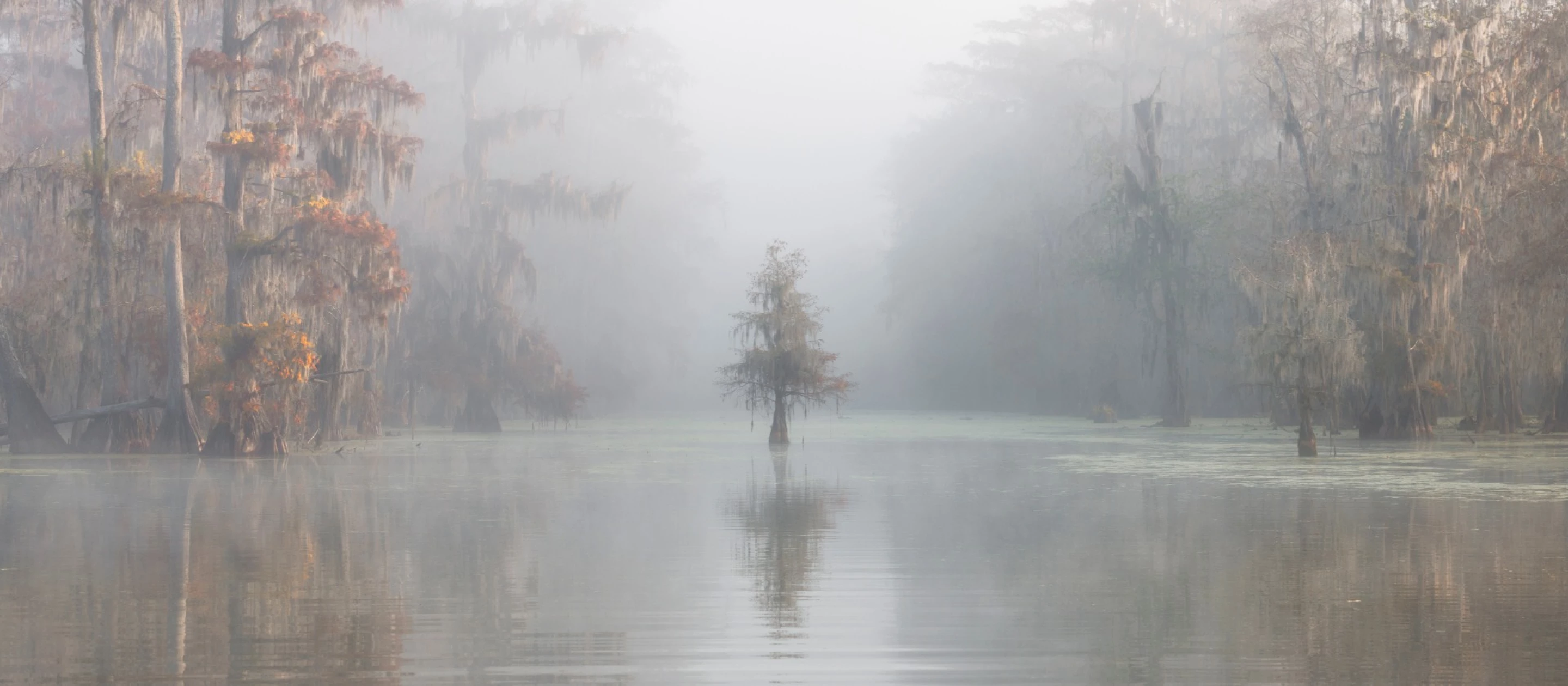 Majestic views: The winners of the International Landscape Photographer ...