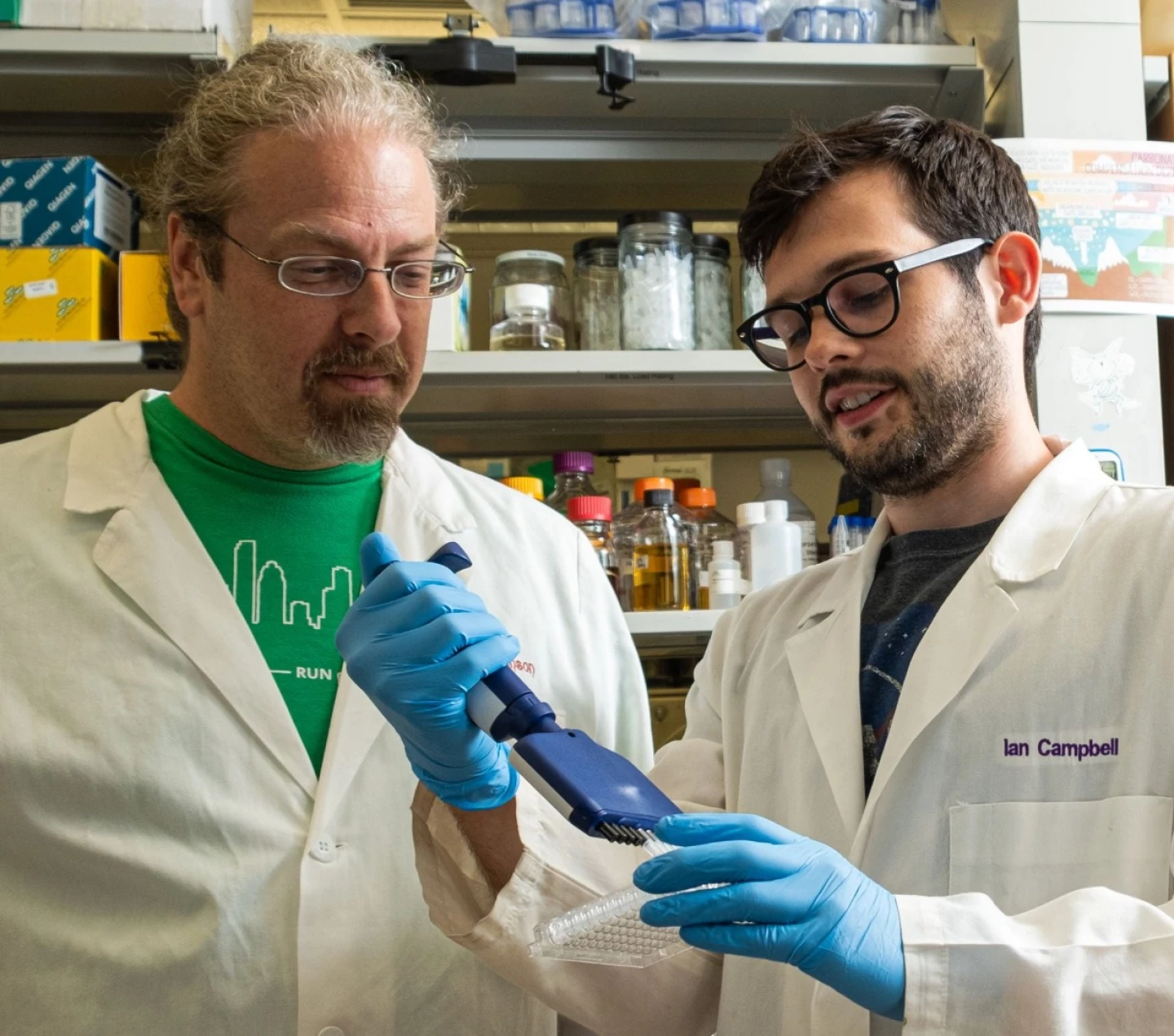 "Primordial" proteins successfully inserted into engineered E. coli in ...