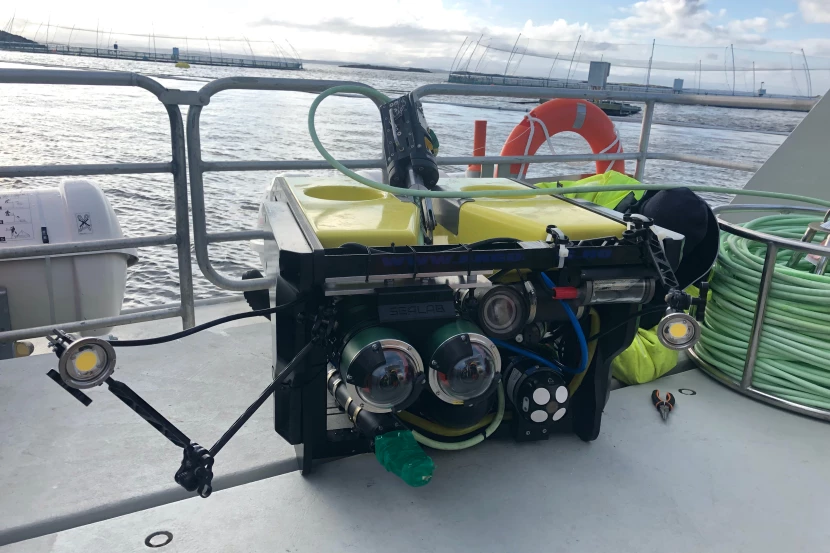 Underwater robot designed to keep tabs on fish farms