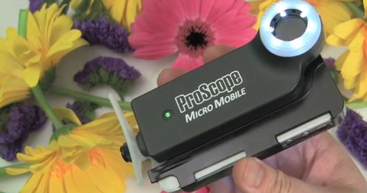 Proscope Micro Mobile Lets Your Iphone Get Mega Close Ups