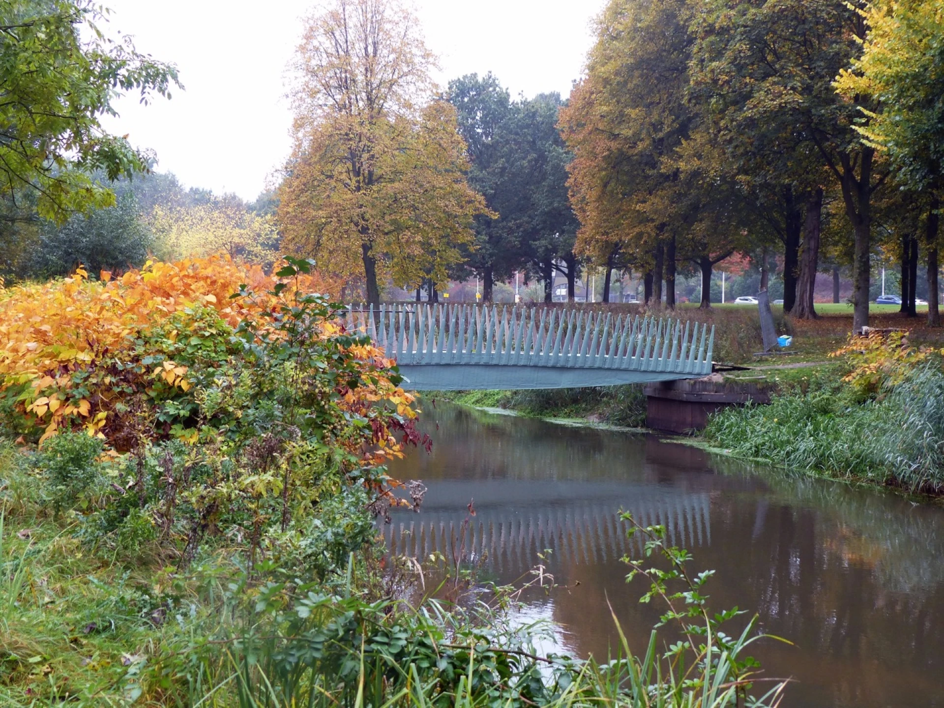 Sensor-filled biobridge opening to foot traffic in the Netherlands