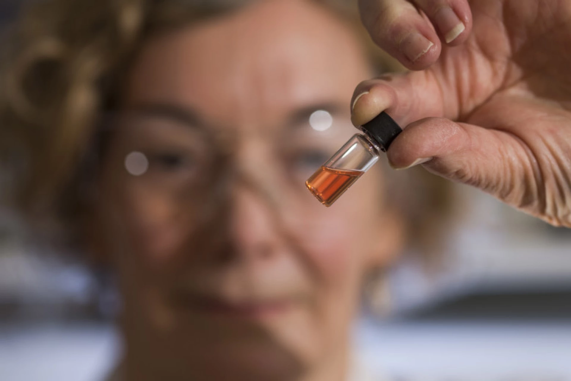 "World's oldest colors" found in billion-year old fossils