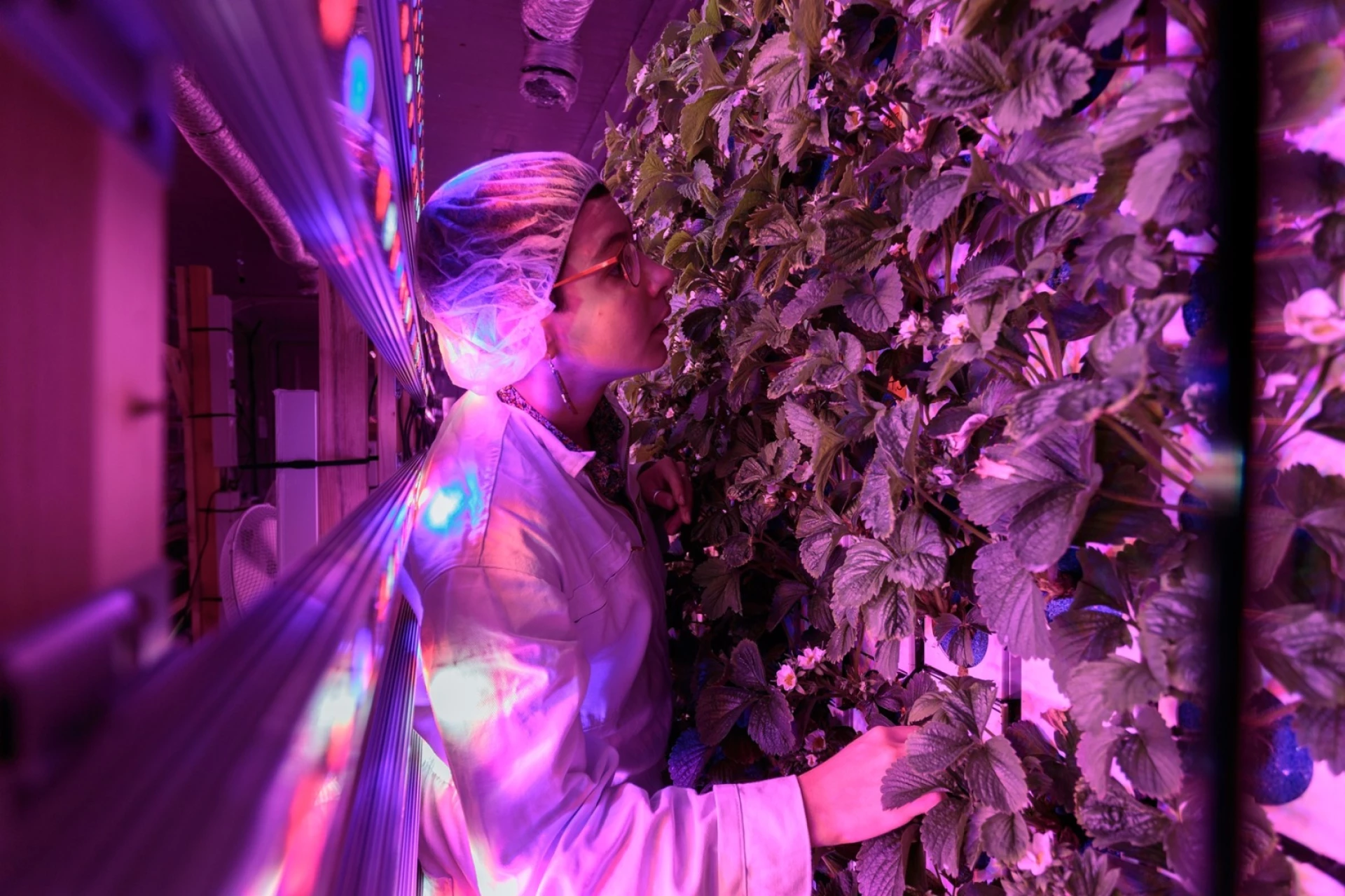 Container farms add local flavor to fresh fruit production