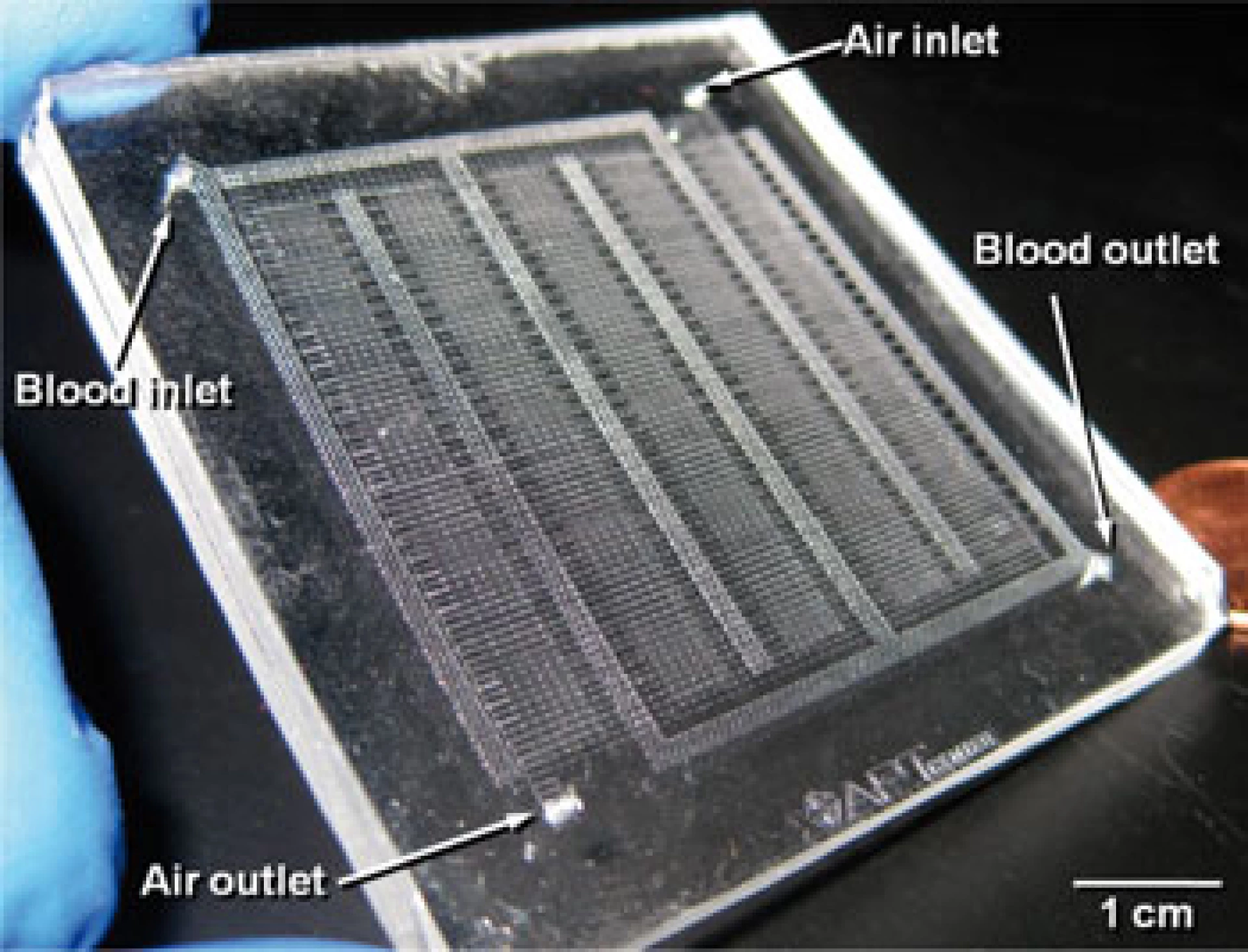 Researchers create artificial lung that works with air rather than pure ...