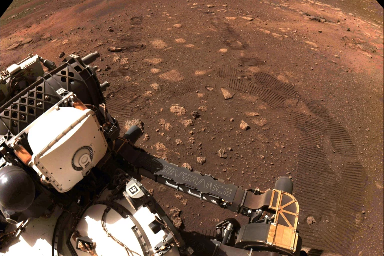 Kidneys in space: Why a trip to Mars could end in dialysis
