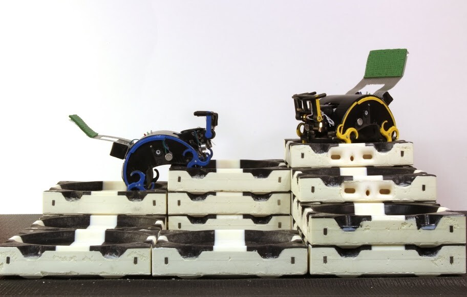 Harvard researchers create termite-inspired robot builders