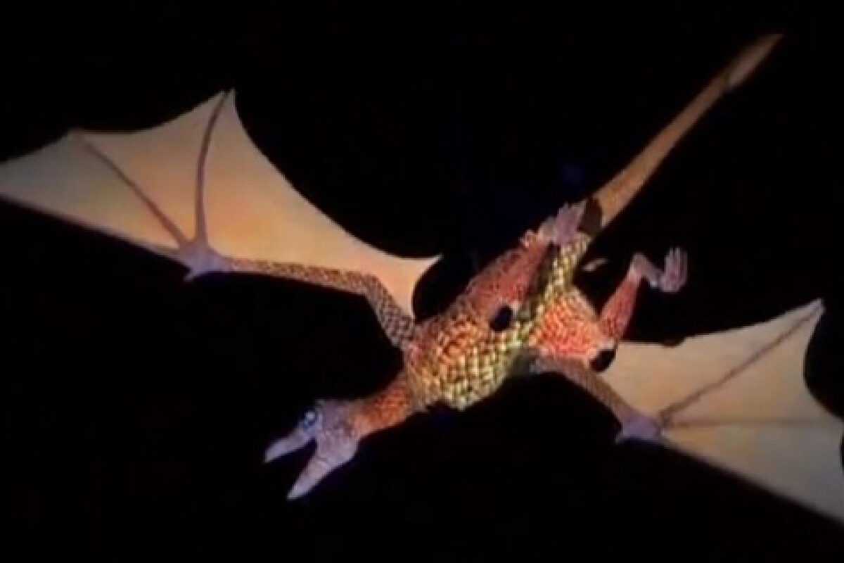 flying dragon edmonton