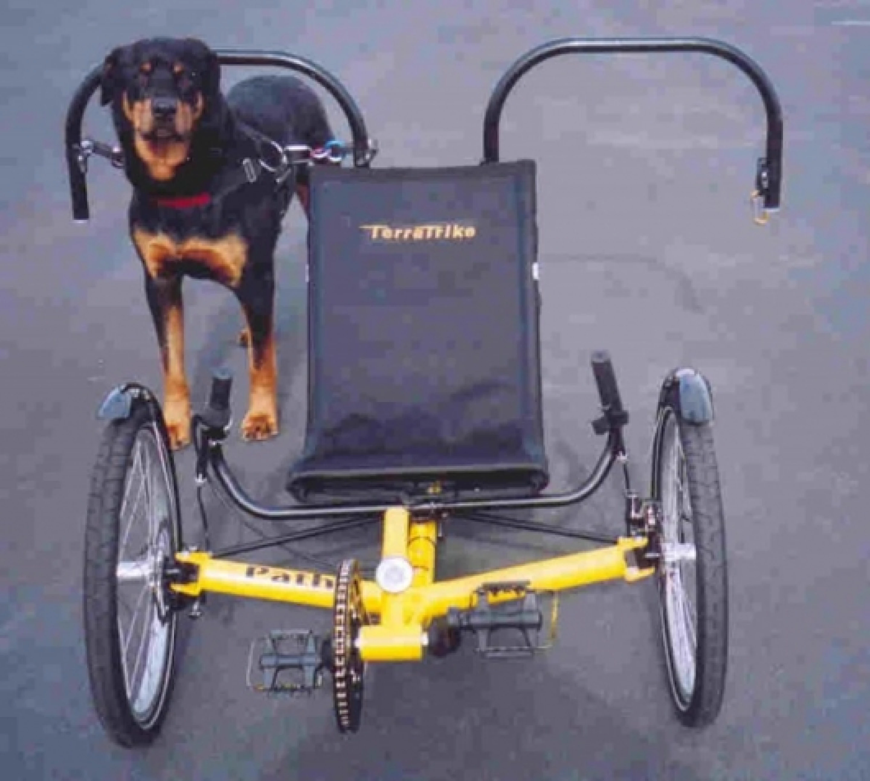 The dog-powered recumbent trike
