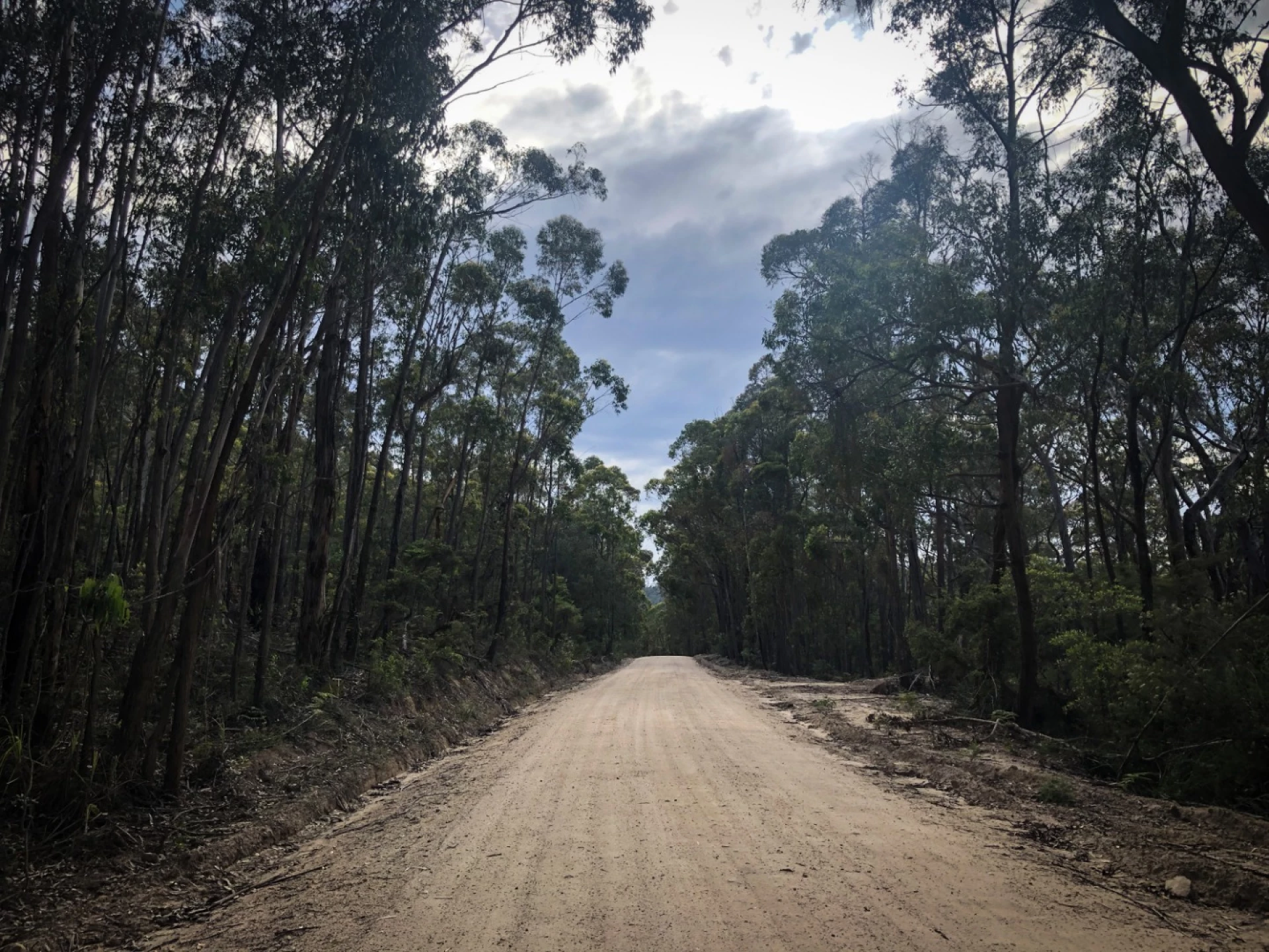 Bikepacking and bush-bashing through lush forest on Australia's ...