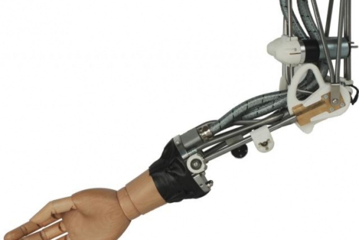 Bionic arm uses elephant’s trunk as a design model