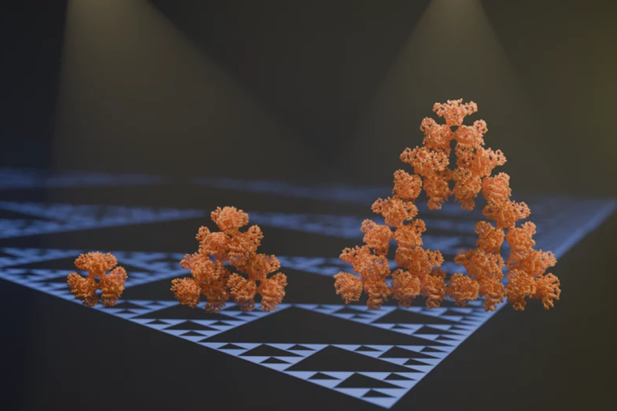 First known fractal molecule is a natural mathematical marvel First known fractal molecule is a natural mathematical marvel