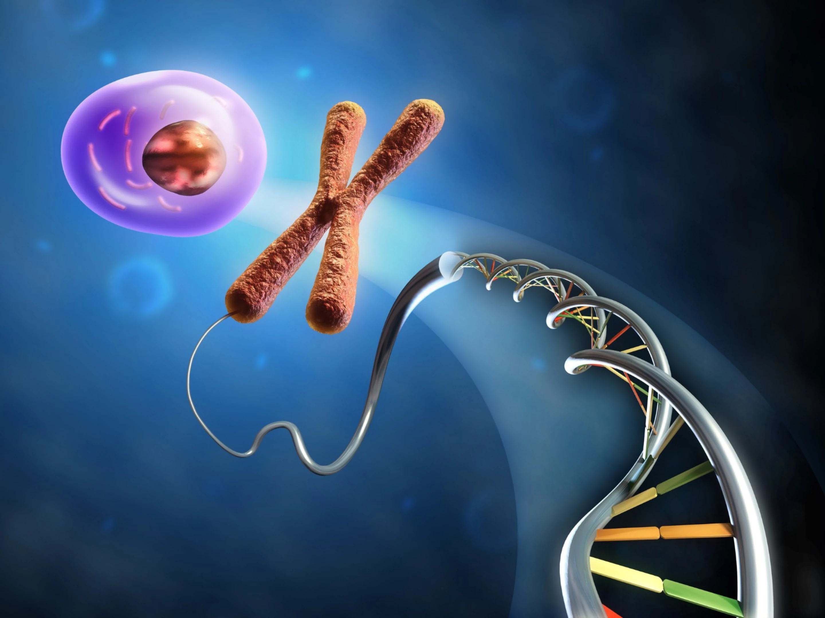 Epigenetic inheritance, and how the way you live your life could affect ...