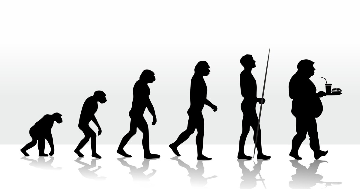 fat evolution