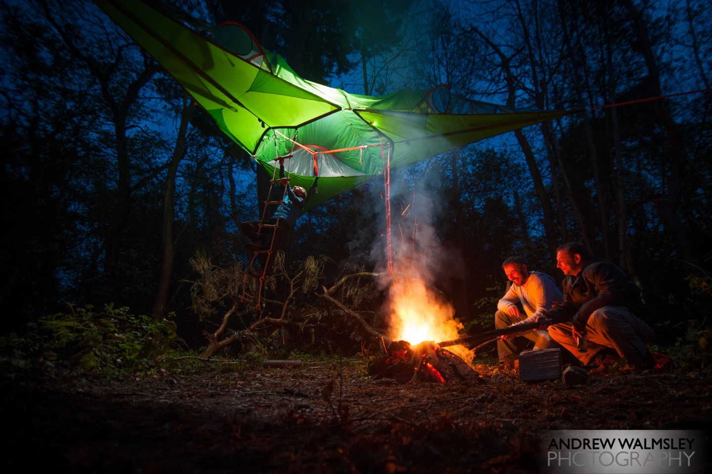 Tentsile unveils its smallest, lightest, and most affordable tree tent ...