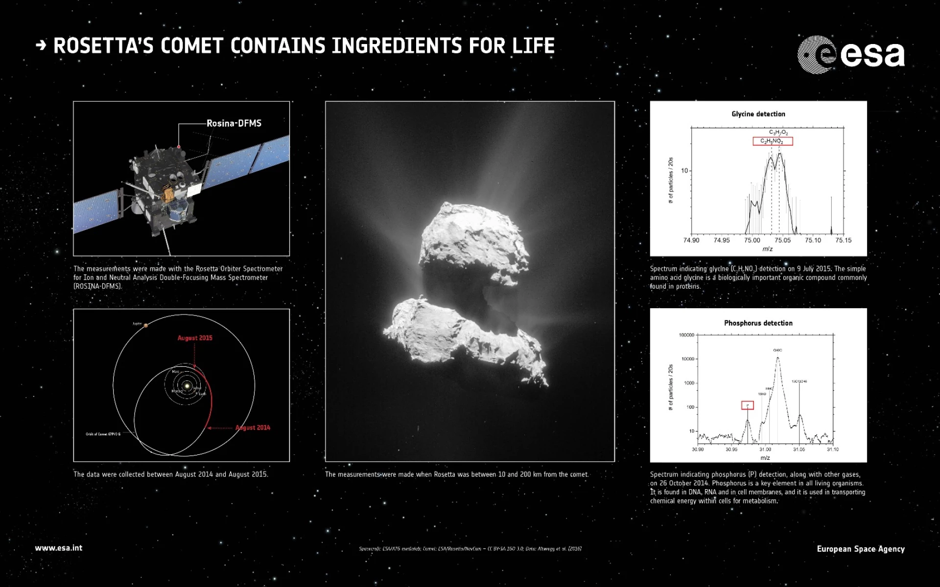 Rosetta discovers building blocks of life in comet atmosphere