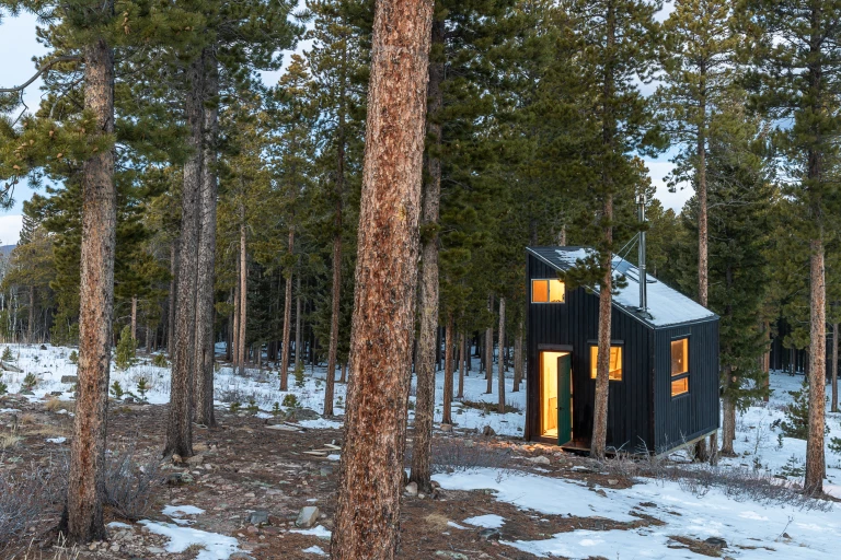 Forest micro-cabin explores simplicity and sustainability