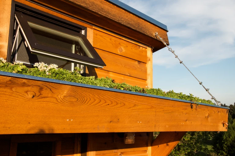 Salsa Box adds a little flavor to the tiny house movement