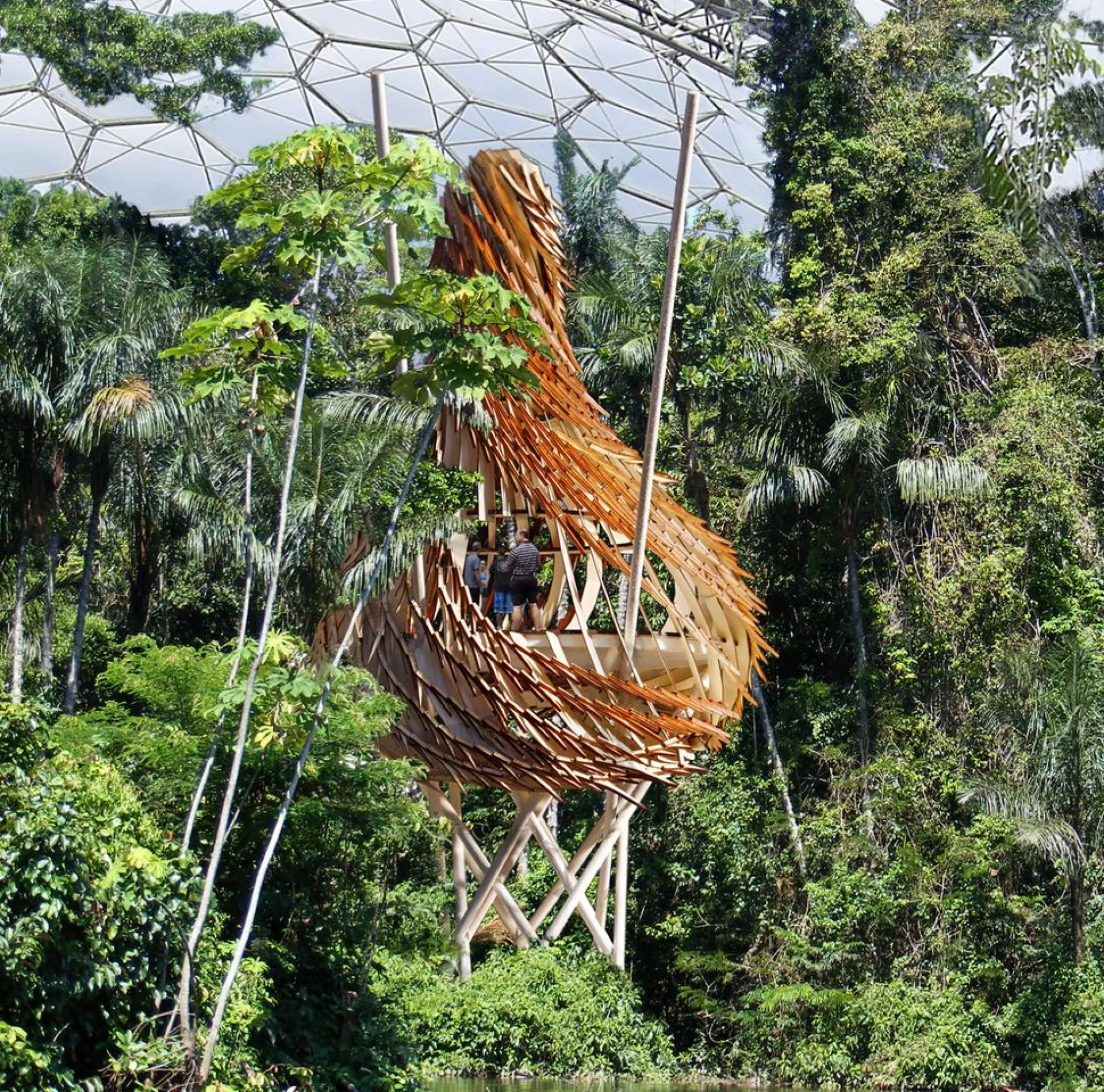 Blue Forest reveals designs for new Biodiversity Nest Treehouse