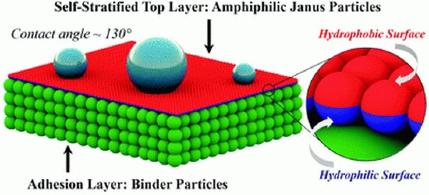 Two-faced nanoparticles help make stickier, more water-repellent paint
