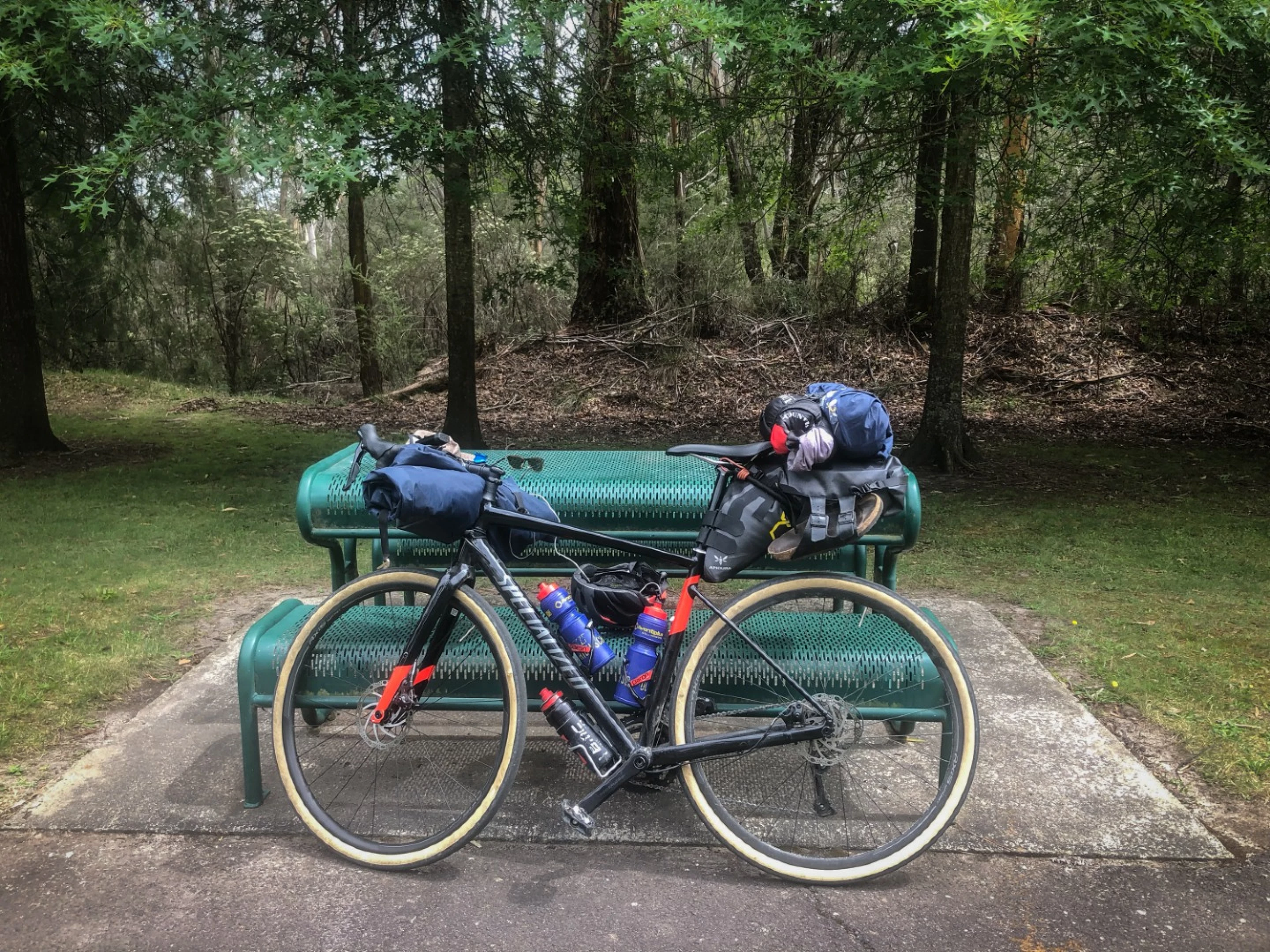 Bikepacking and bush-bashing through lush forest on Australia's ...