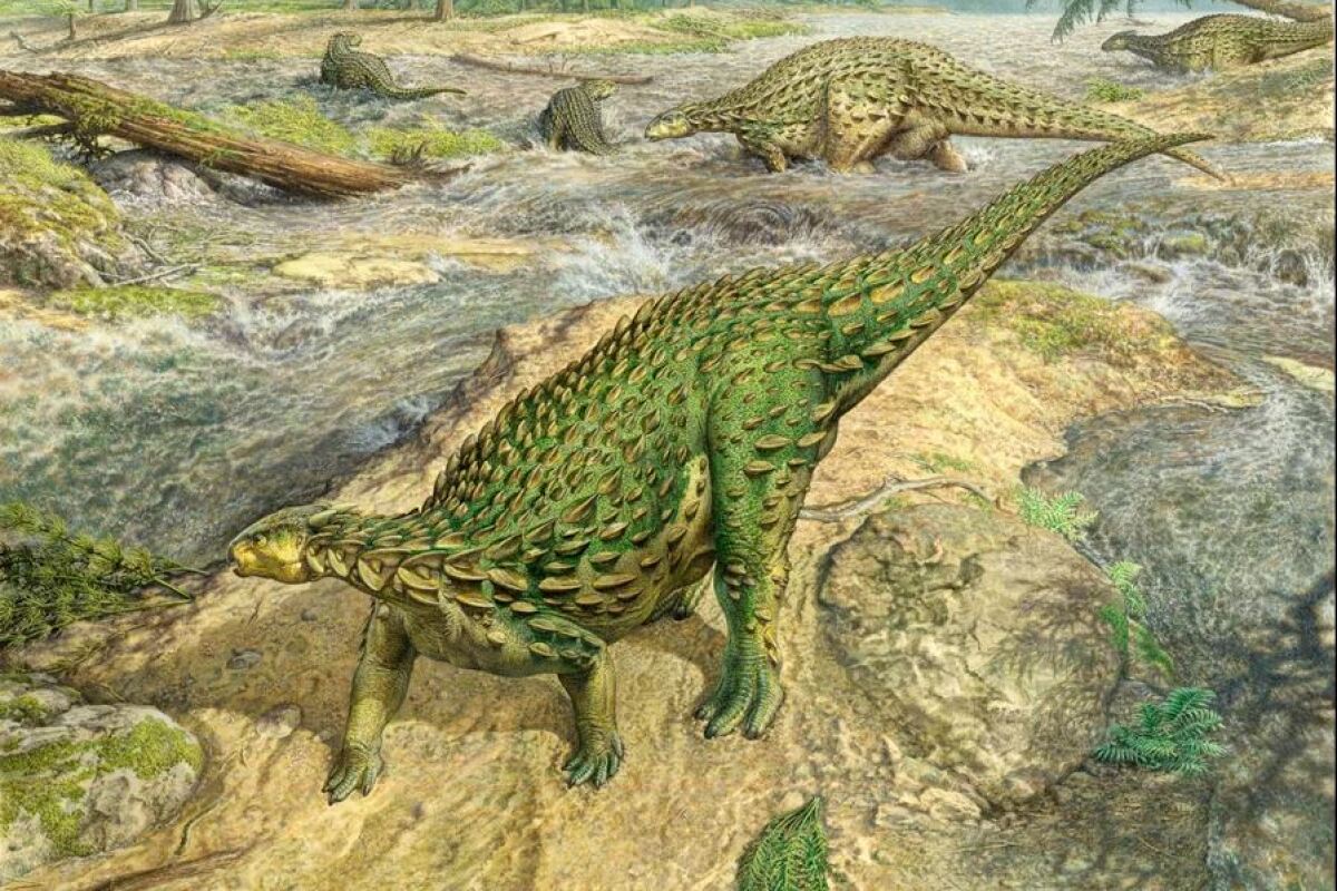 first dinosaurs found