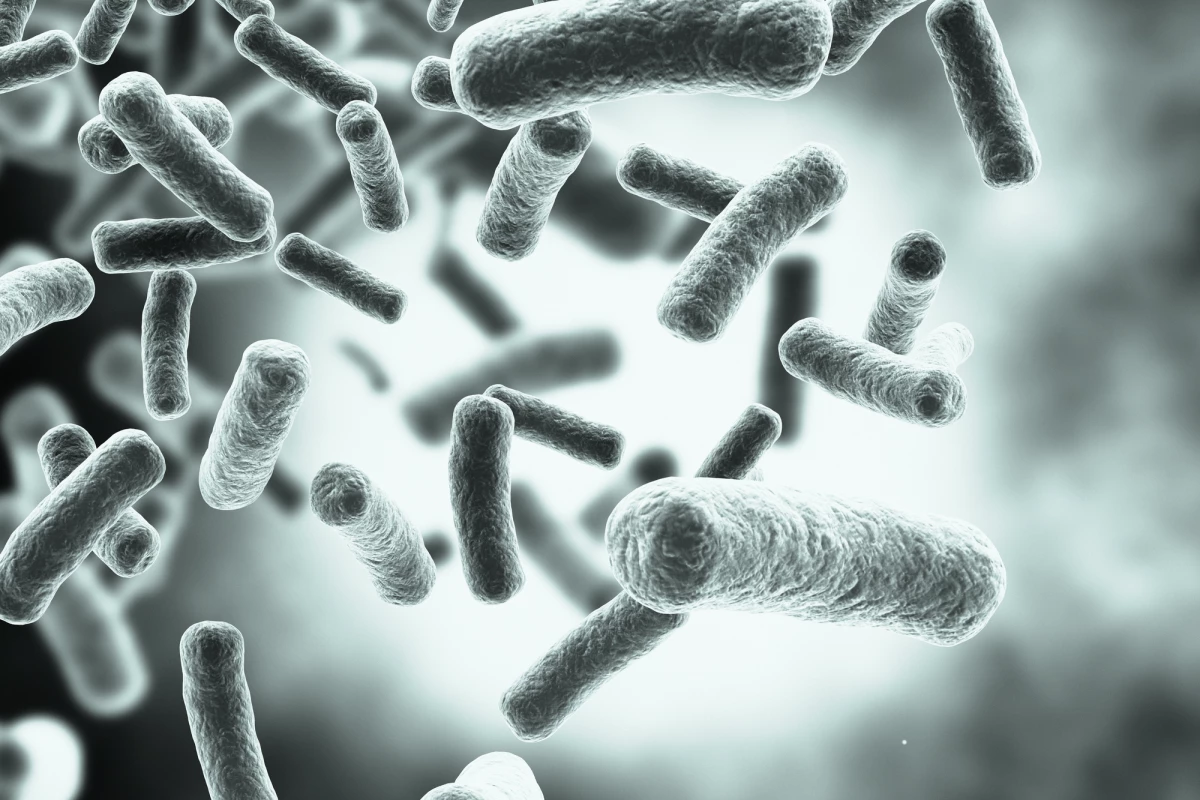 Mimic Molecule Distracts Superbugs To Help Old Antibiotics Work Again