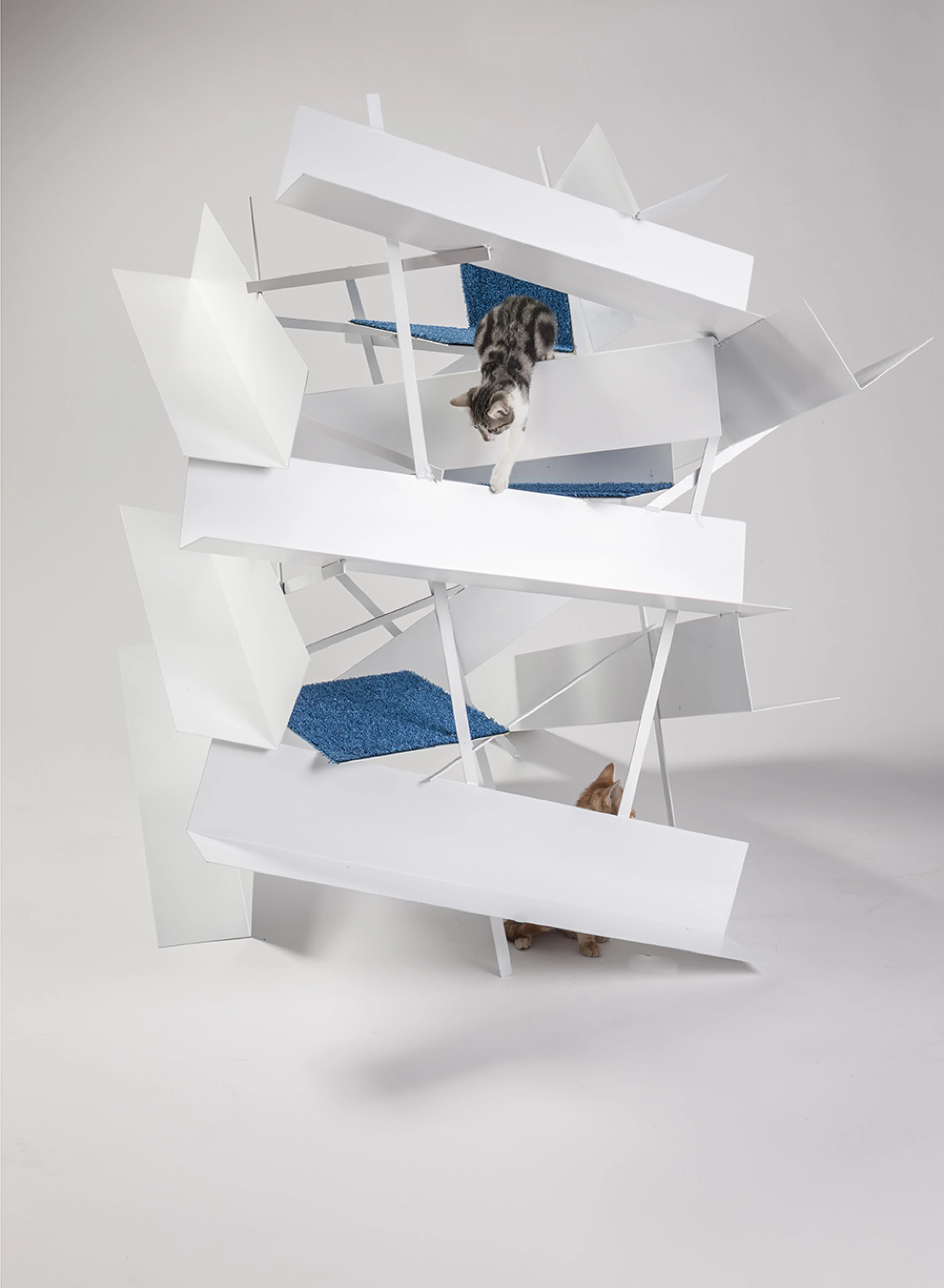 Cutting edge architecture ... for cats