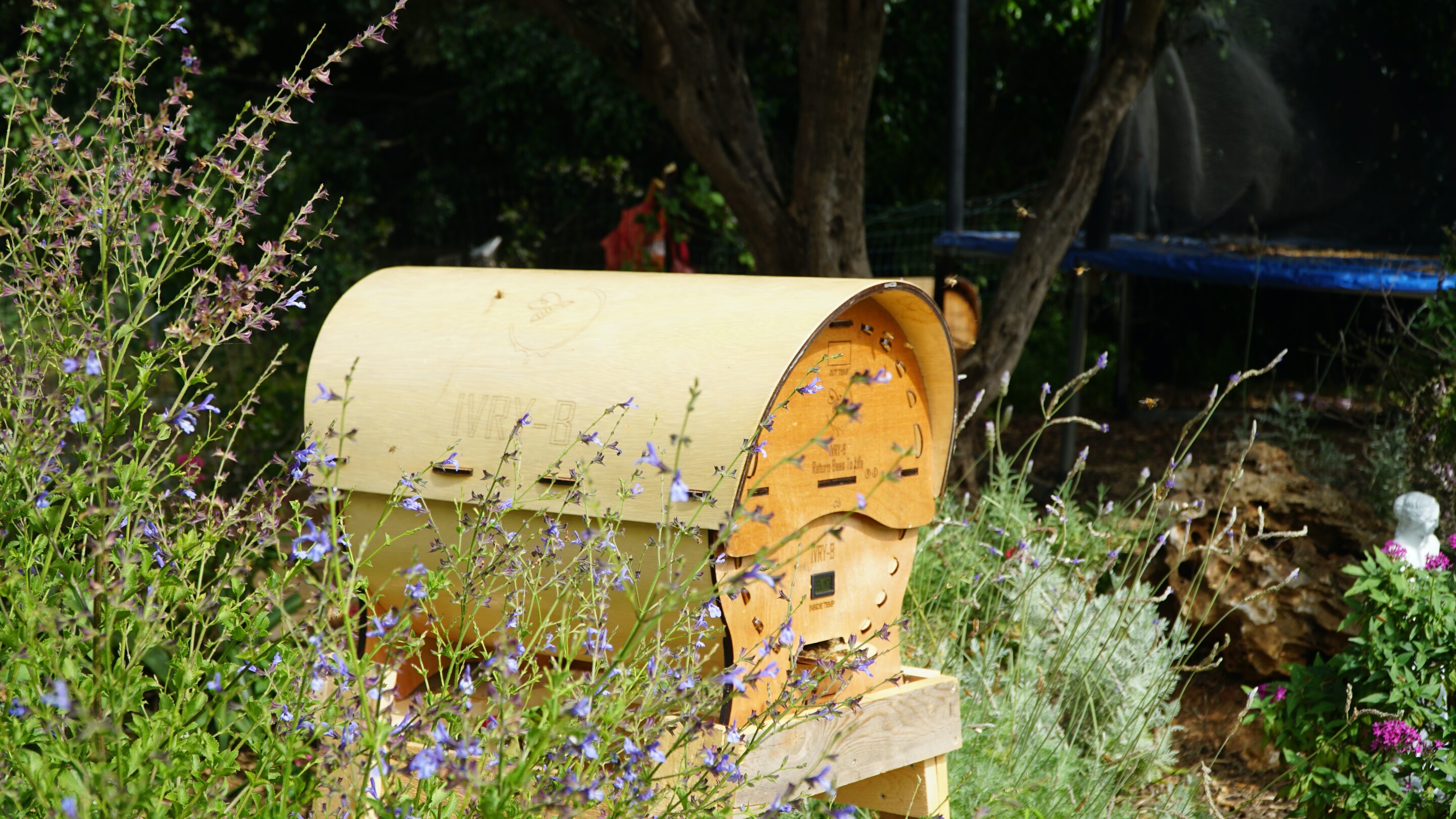 Ivry-B is claimed to be world's first round and transparent beehive