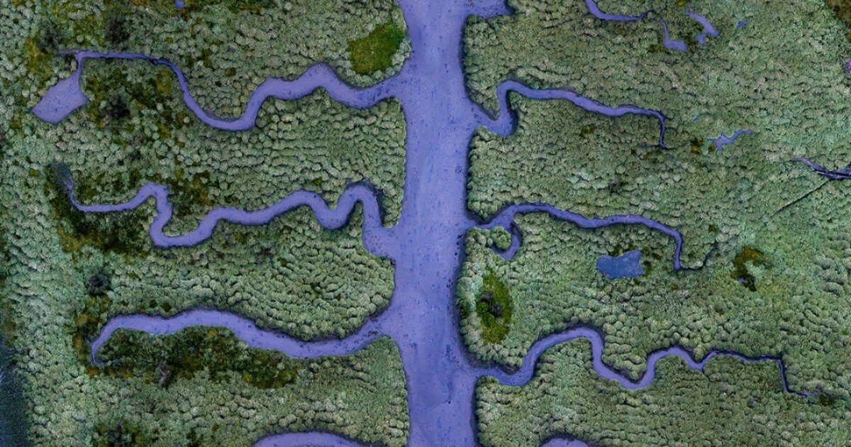 Aerial photography captures the beauty of how water shapes our planet
