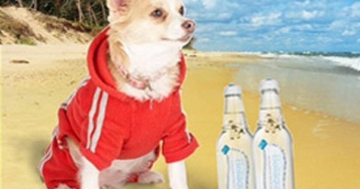 Sparkling Mineral Water for Dogs at $8 a bottle