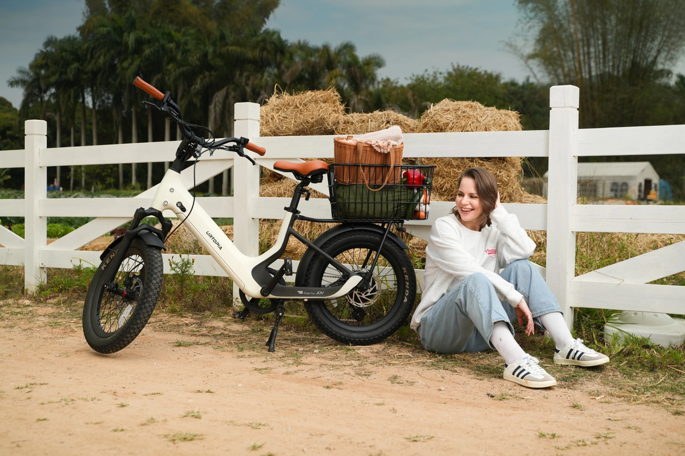 Carbon Fat Tire Ebike Urtopia Joy Carbon For Cargo Hauling 6650