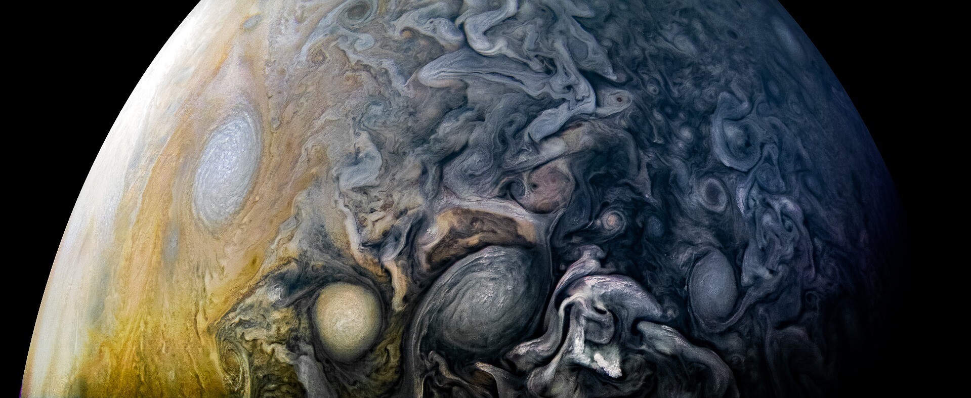 Dolphins In The Jovian Clouds Among The Most Astonishing Jupiter Images