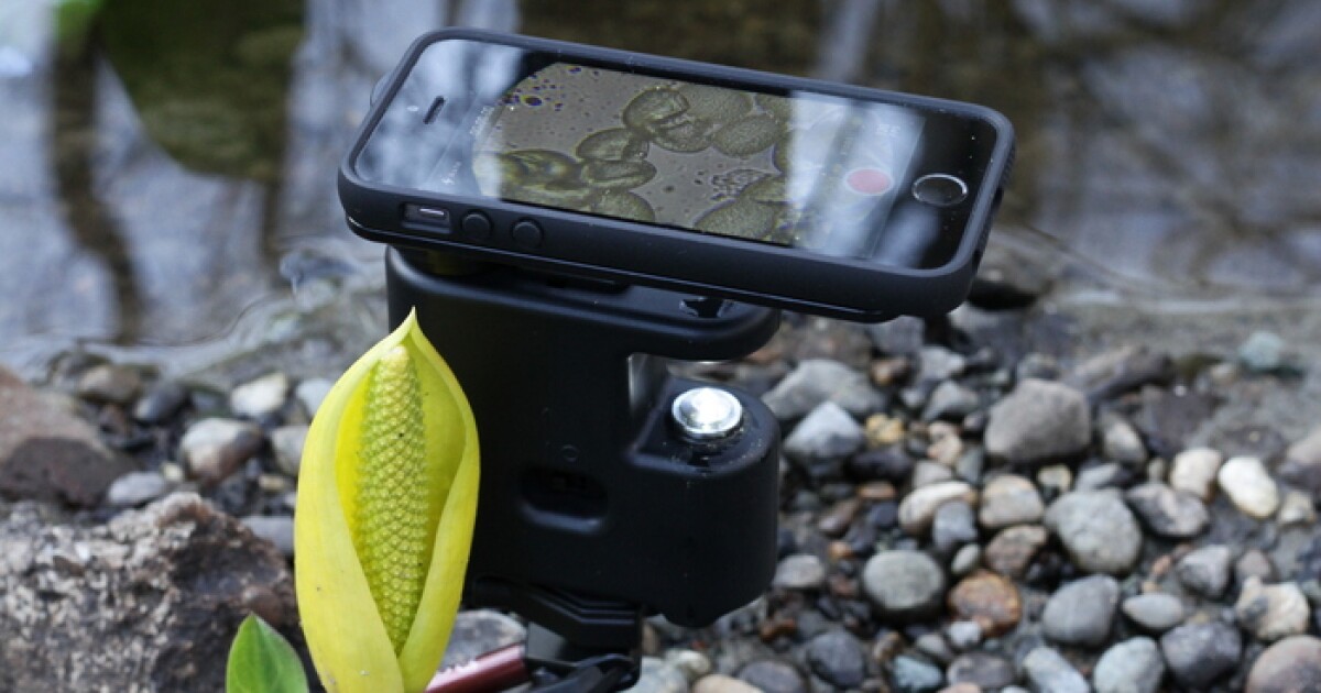 MicrobeScope combines your iPhone with a microscope
