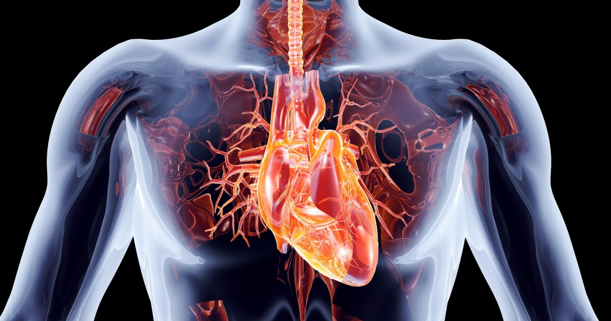 The protein that can make your heart think you exercise