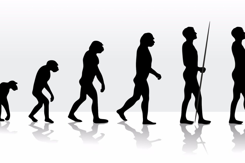 Genetic study finds evidence that we're still evolving