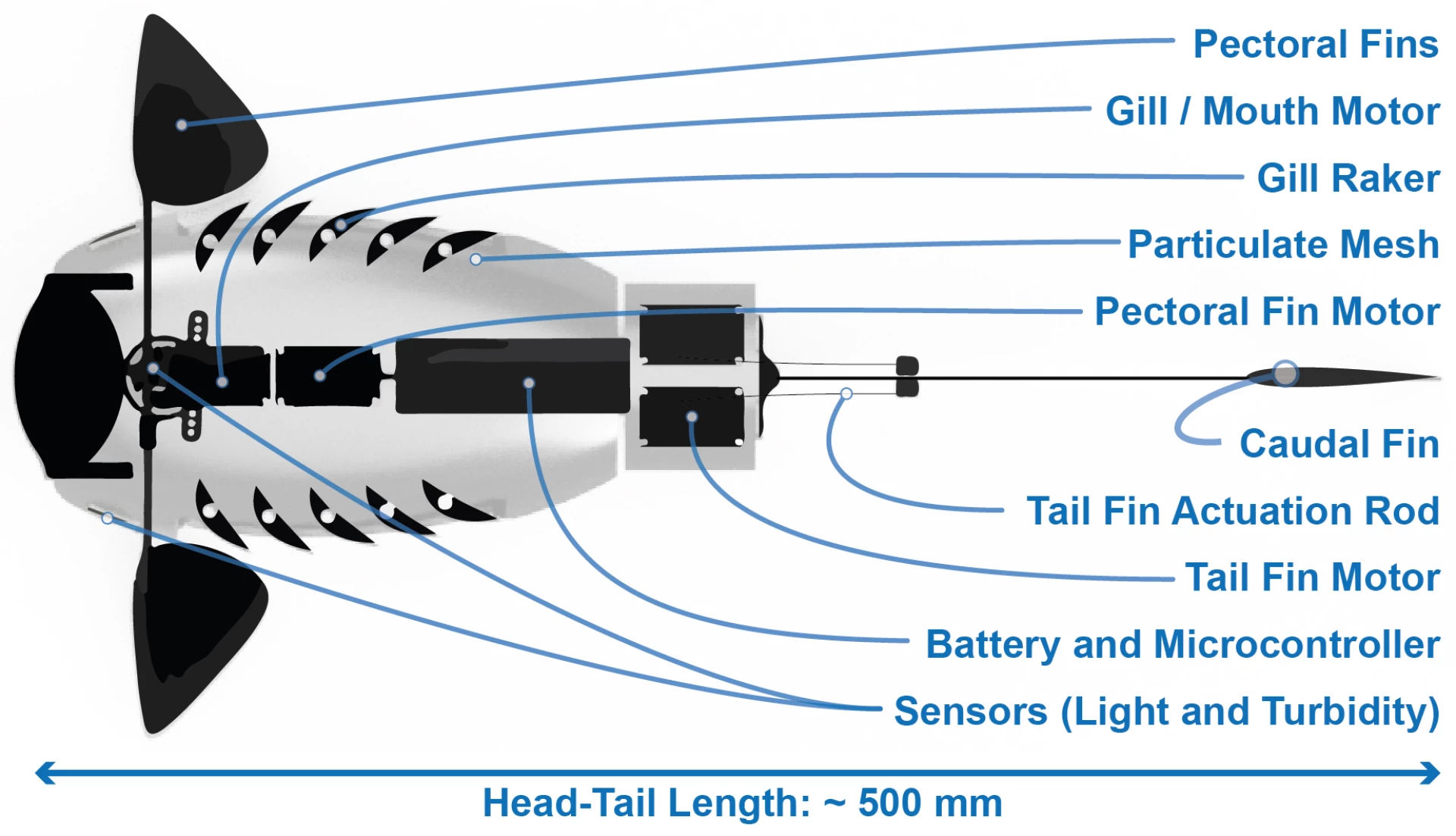 Student-designed plastic-gulping fish wins bioinspired robotics contest