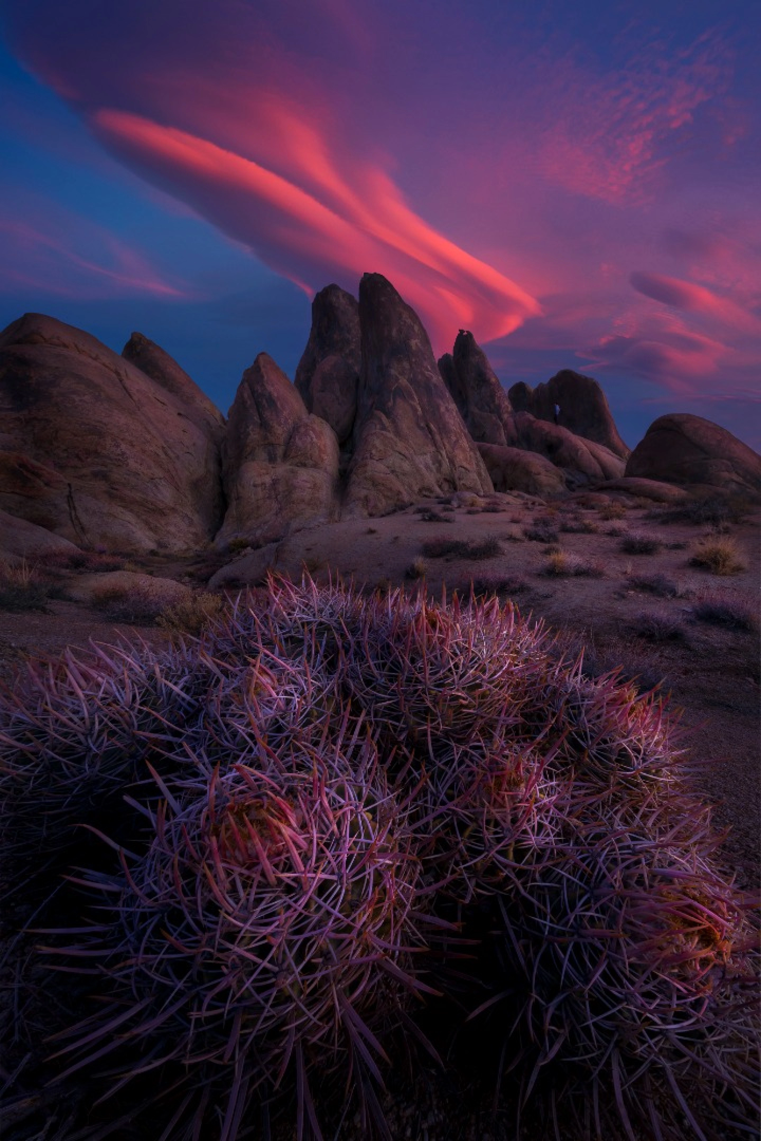 Majestic views: The winners of the International Landscape Photographer ...