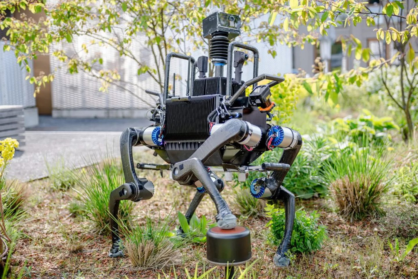 Anymal quadruped robot can now use an elevator