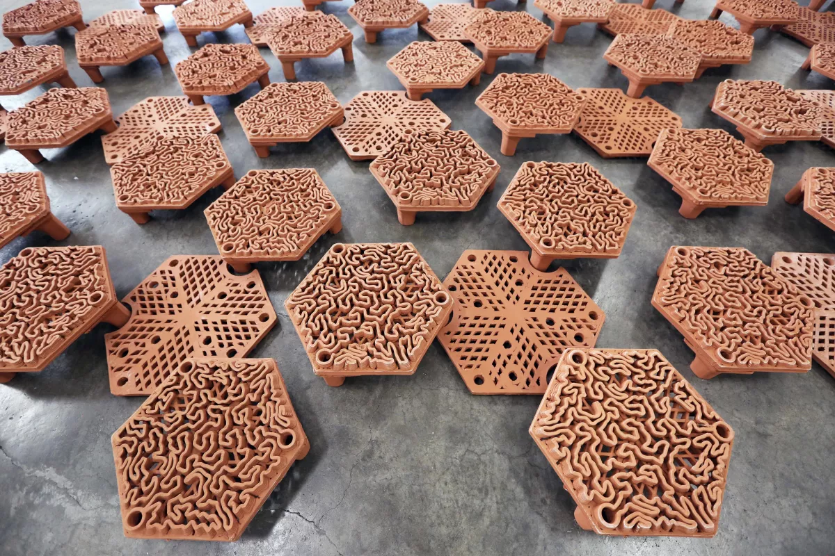 3D-printed clay tiles designed to restore coral reefs