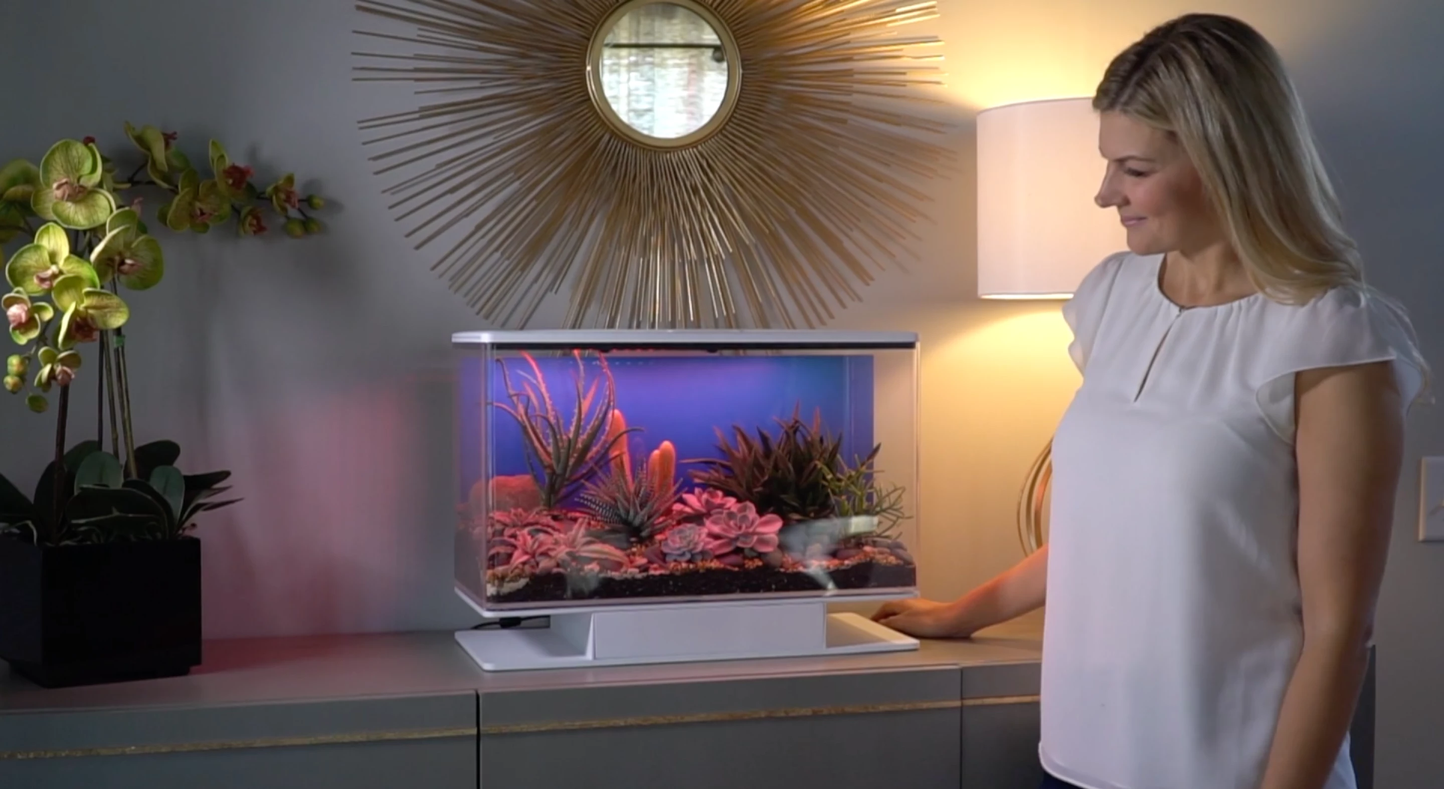 App-controlled terrarium puts on a sound and lightning show