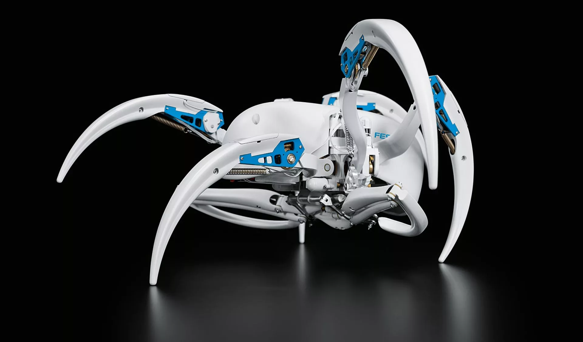 Festo's latest robo-animals – a rolling spider and a semi-autonomous bat