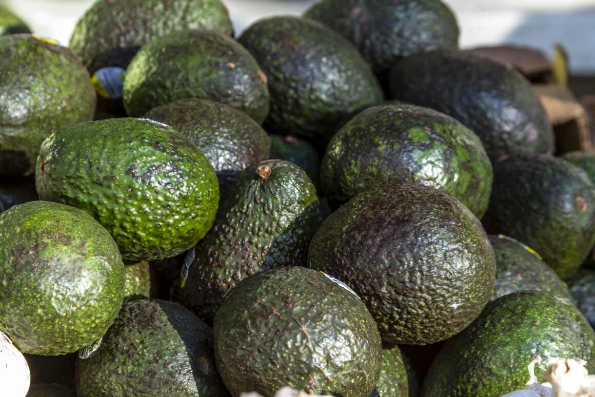 Avocados with edible anti-spoilage coating hit US stores