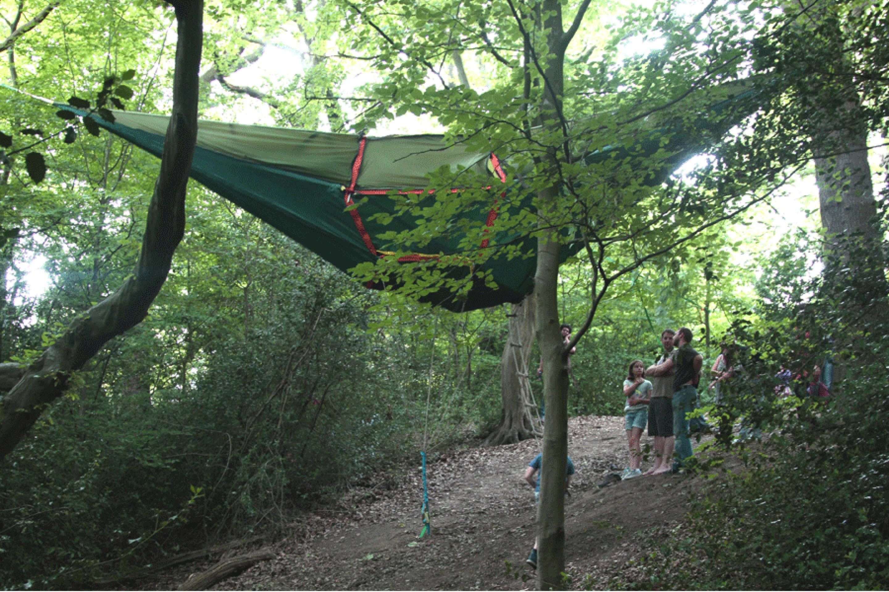 Tree-hanging tent provides above-ground shelter