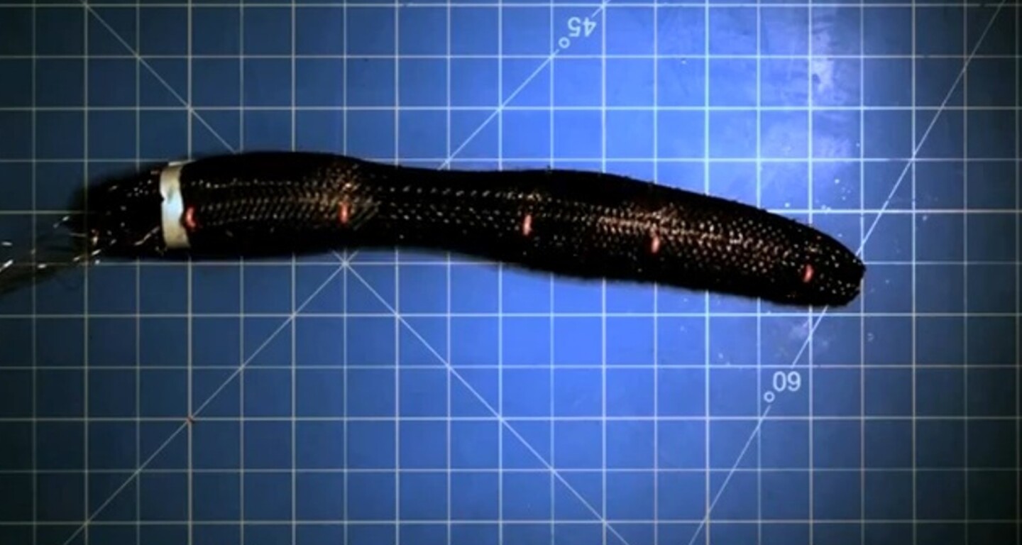 Soft, autonomous Meshworm robot moves like an earthworm