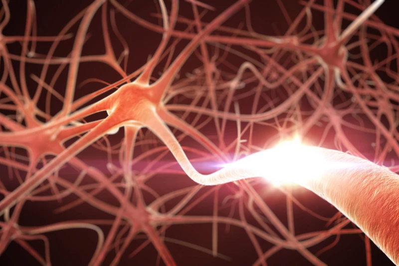 The connectome, the physical map of a personality and the rise of high ...