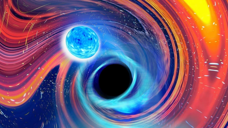 Gravitational wave trifecta completed as black holes eat neutron stars