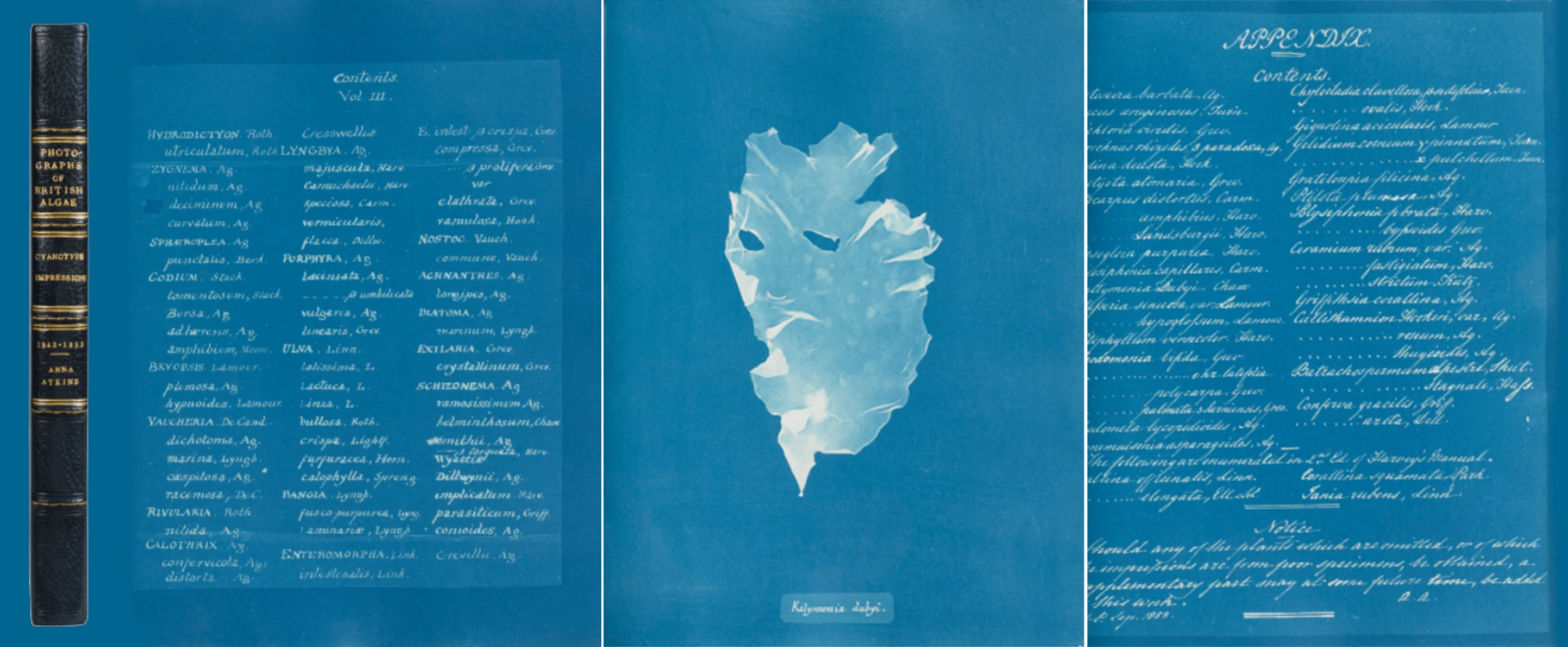 The 50 most valuable scientific documents of 2016